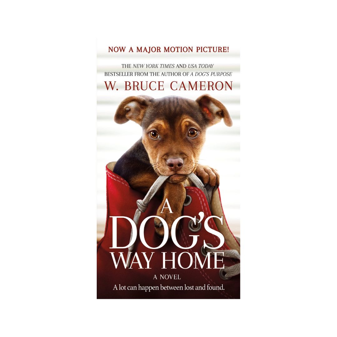 Dog´s Way Home